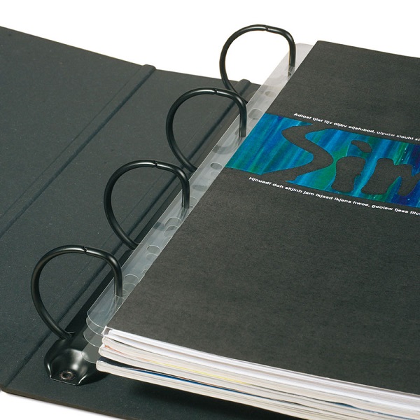 3L Self-Adhesive Filing Strips 295mm Pack 50 8804-50