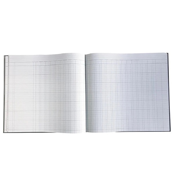 Collins 700 Analysis Book 24 Money Column 13259