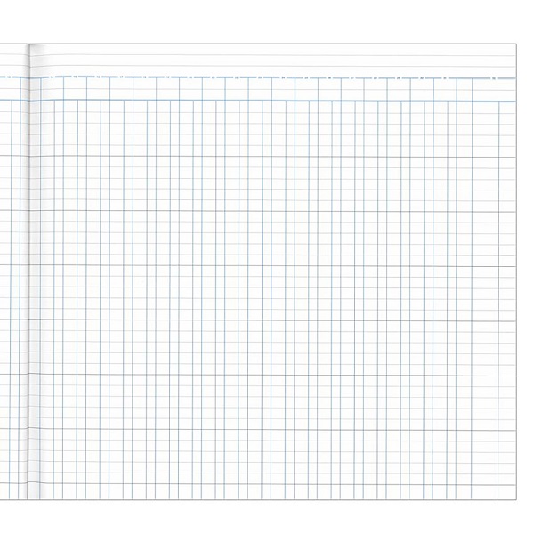 Collins 700 Analysis Book 32 Money Column 13273