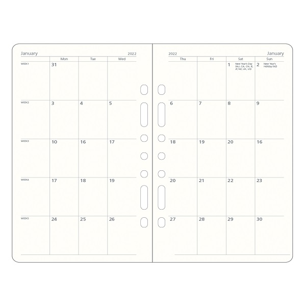 DayPlanner Desk Edition Refills