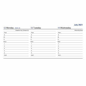 COLLINS Management Slimline Week Bonded Leather Diary 379L.B99