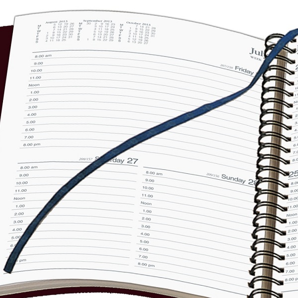 COLLINS Vanessa A5 2 Days to Page Diary Black 285.V99